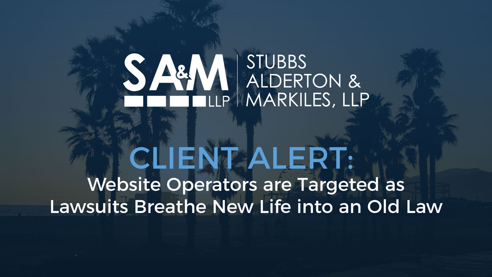 Client Alert: Website Operators are Targeted as Lawsuits Breathe New ...